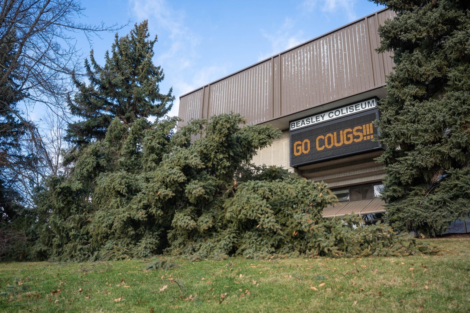 WSU operations shut down due to high winds – The Daily Evergreen