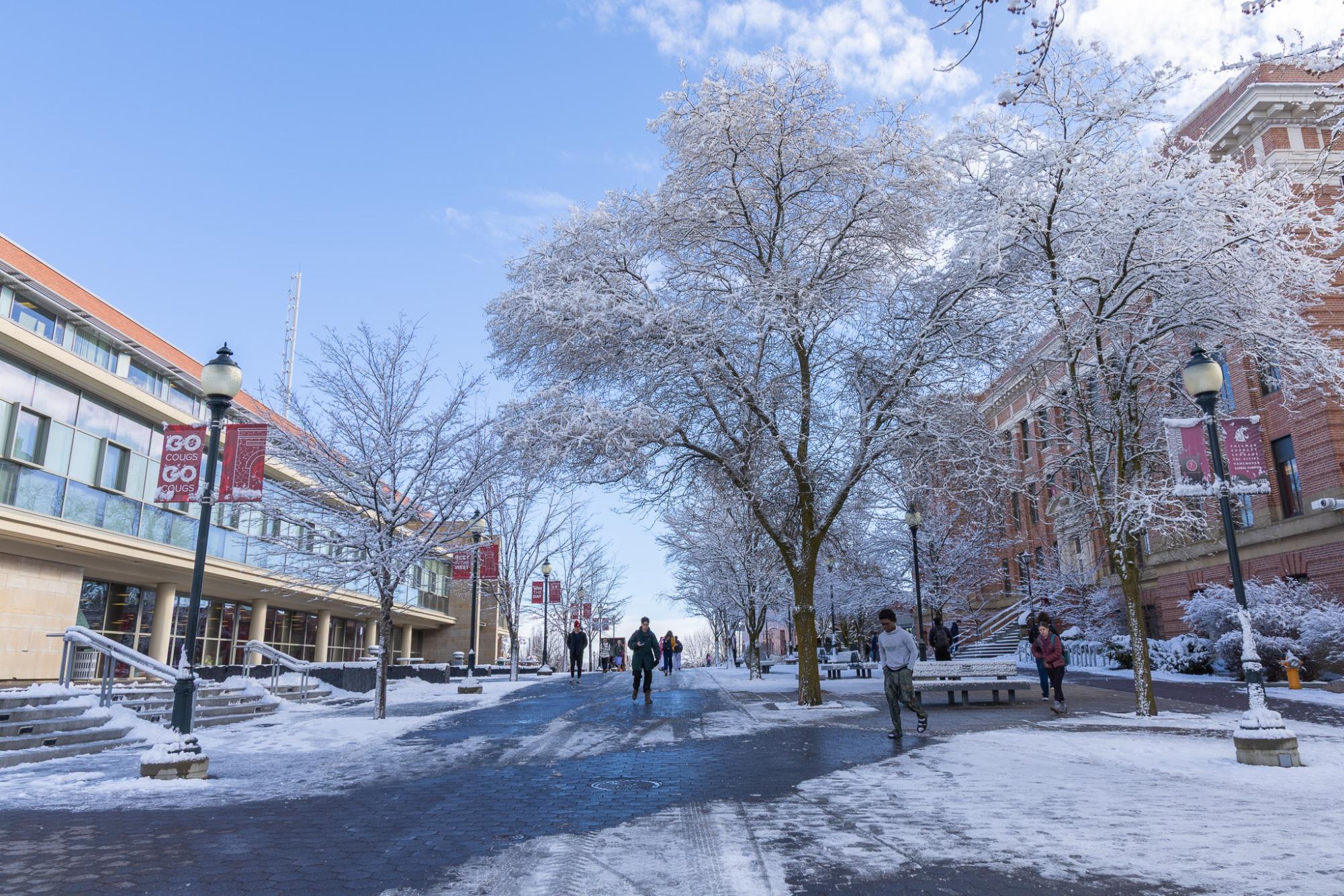 More snow on the way in Pullman – The Daily Evergreen